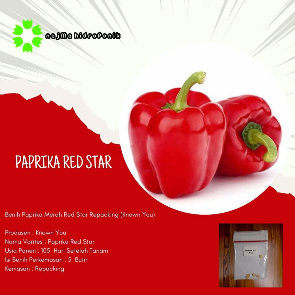 Jual 5 Butir Benih Paprika Merah Red Star Repacking (Known You ...