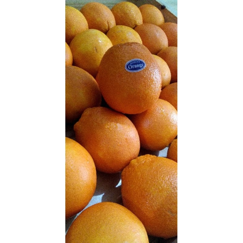 Jual Jeruk Sunkist Fresh (1kg) | Shopee Indonesia