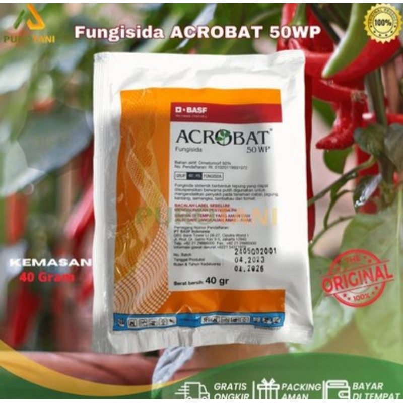 Jual Fungisida acrobat 50WP 40 gram | Shopee Indonesia