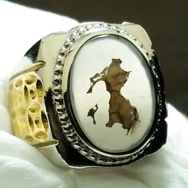 Jual Kolektor Item - Batu Dendrite Kristal Gambar Pendekar. Bukan Batu ...