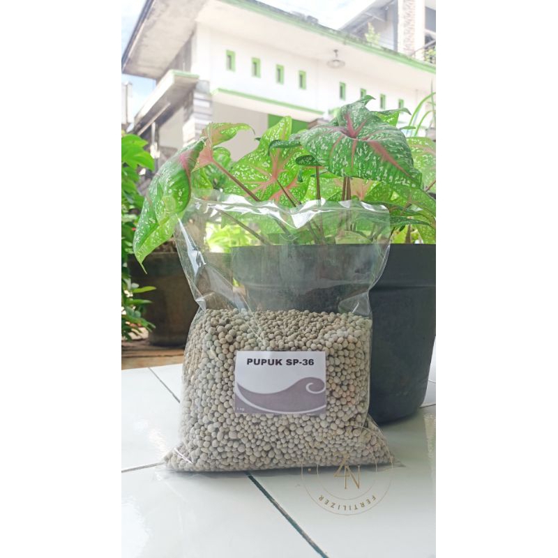 Jual Pupuk Meroke TSP 1kg Kemasan Repack | Shopee Indonesia