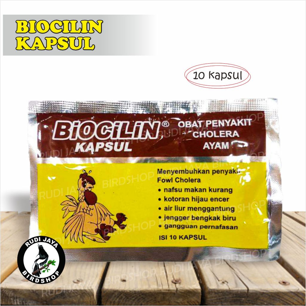 Jual BIOCILIN BIO CILIN 1 SACHET ISI 10 KAPSUL EKA FARMA OBAT AYAM ...