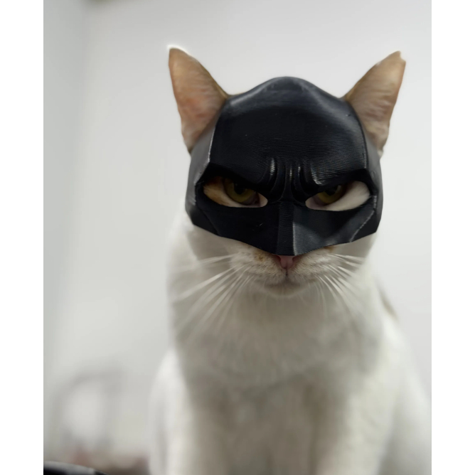Jual Cuero Topeng Kucing BATMAN Cat Mask Batman Batcat | Shopee Indonesia