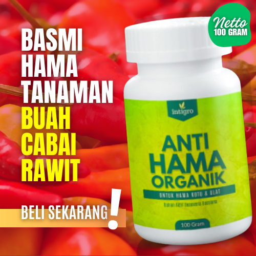 Jual Insektisida Obat Pembasmi Hama Kutu Daun Keriting Ulat Kepik ...