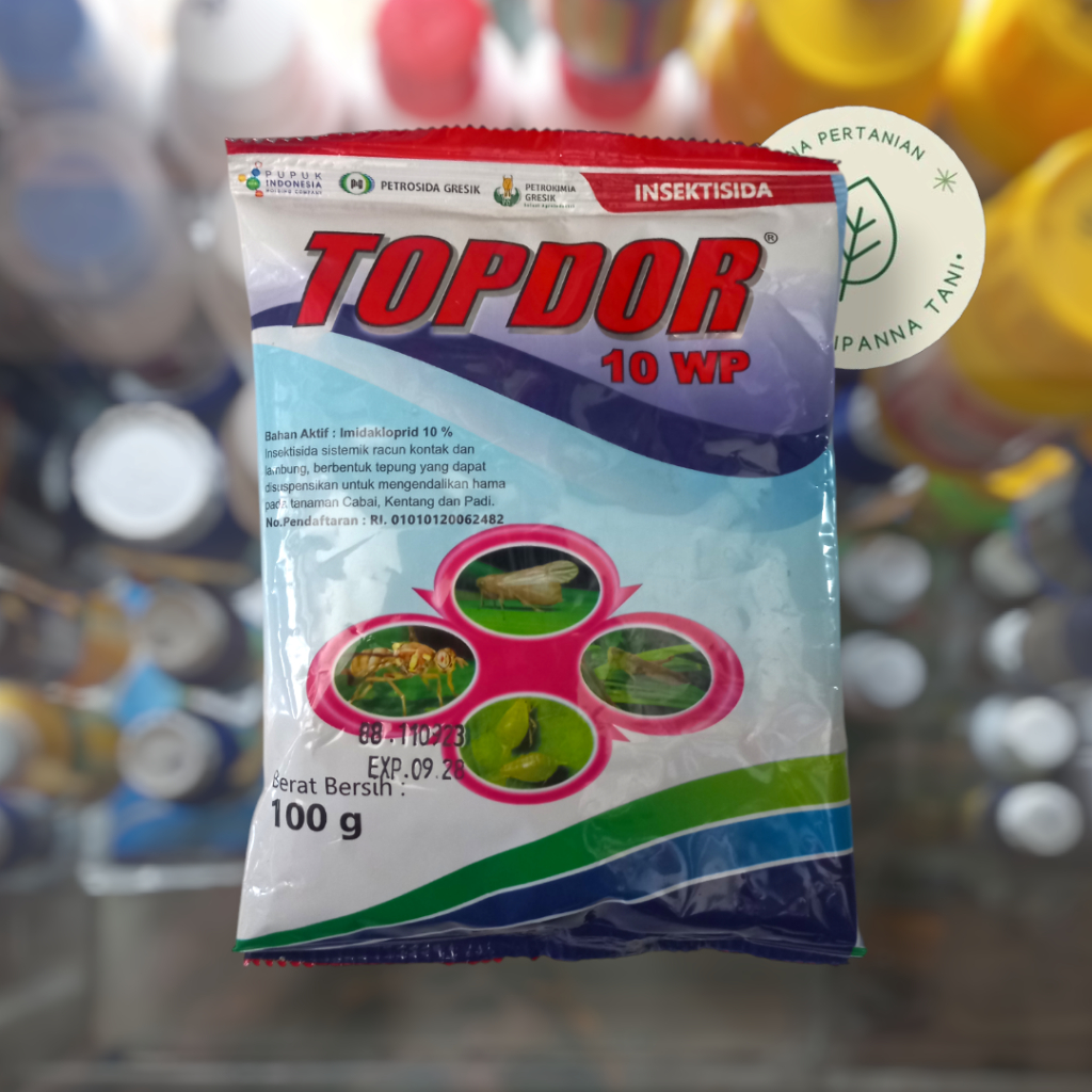 Jual INSEKTISIDA TOPDOR 10WP 100GR– PENGENDALI HAMA PADA TANAMAN CABAI ...