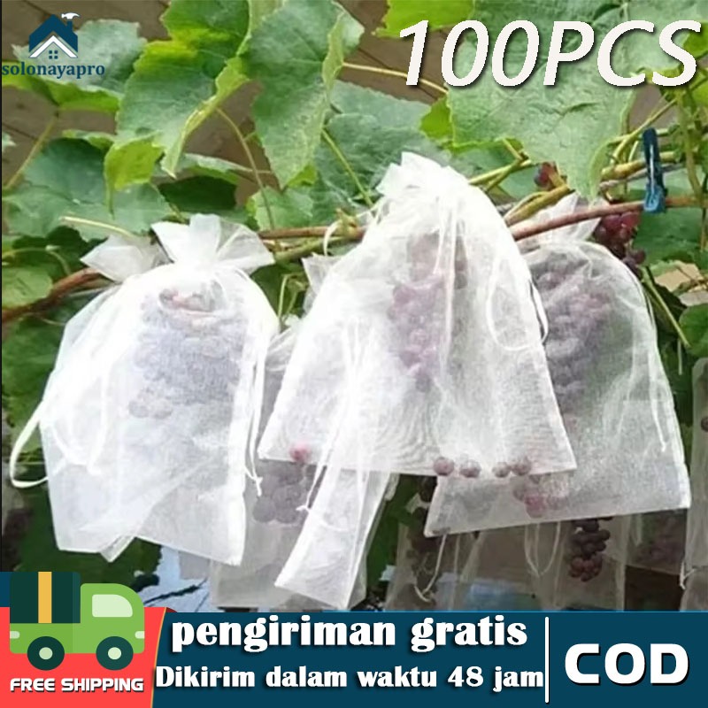 Jual Pembungkus buah/Fruit Cover Paket 100pcs size S,M,L,XL | Shopee ...