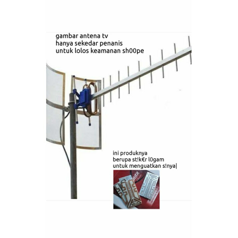 Jual antena penguat sinyal | Shopee Indonesia