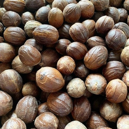 Jual [100 GRAM] Biji Pala 100 gr - Buah Pala Nutmeg | Shopee Indonesia