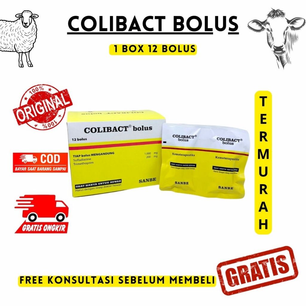 Jual Colibact 12 Bolus 1 Box (6 Strip @2 Bolus) Obat Sapi Kuda Domba ...