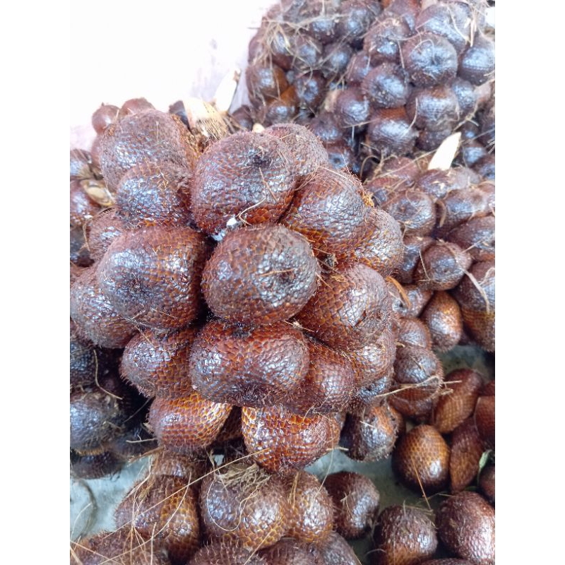 Jual Salak Fresh 1kg/Buah salak/Salak pondoh/jateng/banjarnegara ...