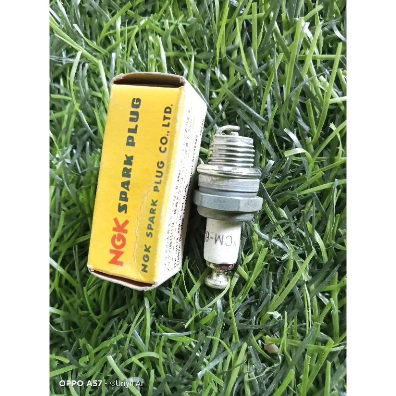 Jual Busi NGK CM 6 Busi Mini NGK Busi Mainan RC Pesawat dll | Shopee Indonesia