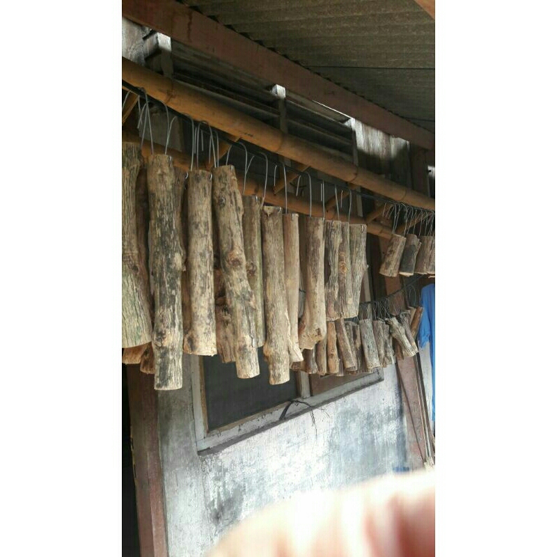 Jual pot anggrek/kayu kopi/cantolan kayu kopi P 25cm | Shopee Indonesia