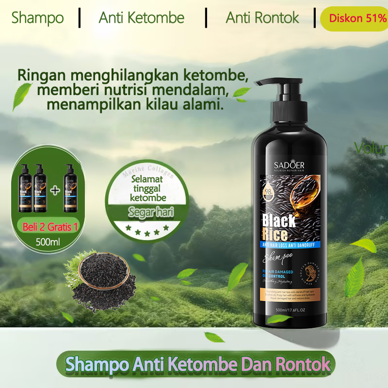 Jual Beras Hitam Shampo Anti Ketombe Dan Anti Rontok 500ml Hair Fall Shampoo Penghilang Ketombe ...