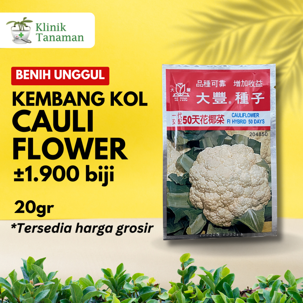 Jual Benih Bunga Kol Cauliflower 50 Days 10gr (1.900 Biji) Bibit ...
