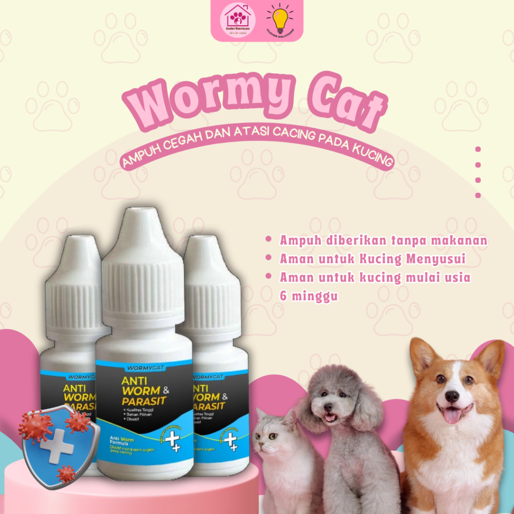 Jual Obat Cacing Kucing WORMYCAT Anti Infeksi Cacing Kucing Cat Kitten ...