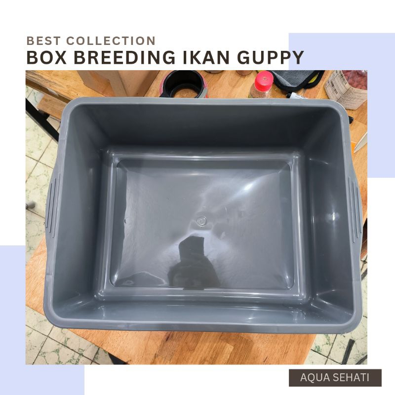 Jual Box / Kotak Ternak Ikan Guppy / Kotak Kolam Mini Ikan Kecil ...