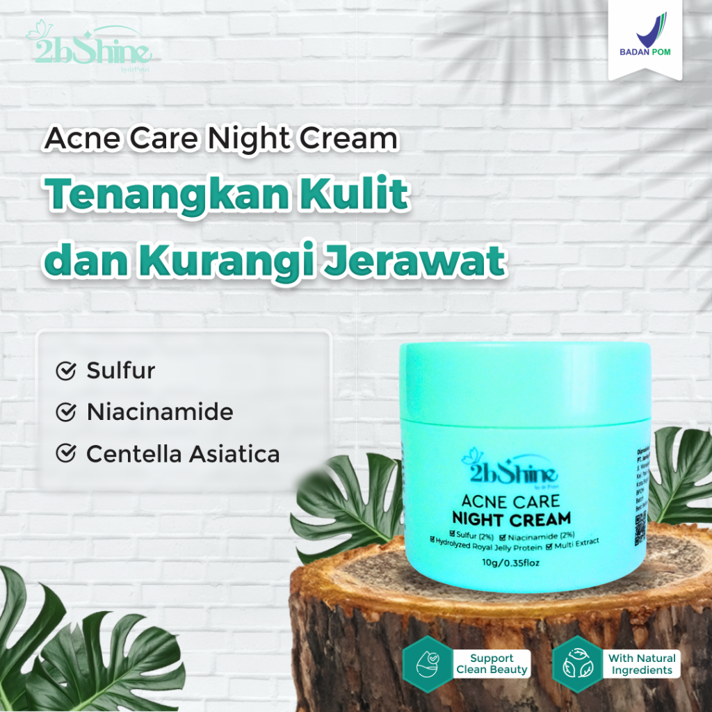 Jual 2BSHINE by dr Putri Acne Care Night Cream - Krim Malam Untuk Kulit Berjerawat 10 gr ...