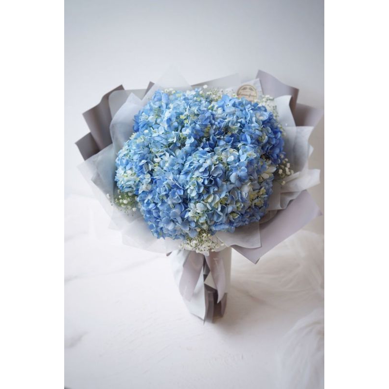 Jual BUKET HYDRANGEA SEGAR WITH BABY BREATH | Shopee Indonesia