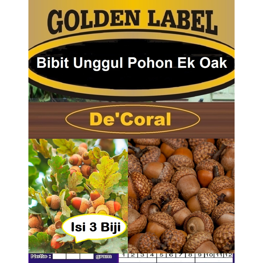 Jual Bibit Unggul Pohon Ek Oak | Biji Benih Pohon Ek Oak | Shopee Indonesia