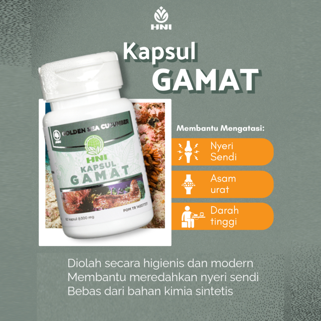 Jual GAMAT KAPSUL HNI - TERIPANG EMAS - GOLDEN SEA CUCUMBER - TERIPANG ...