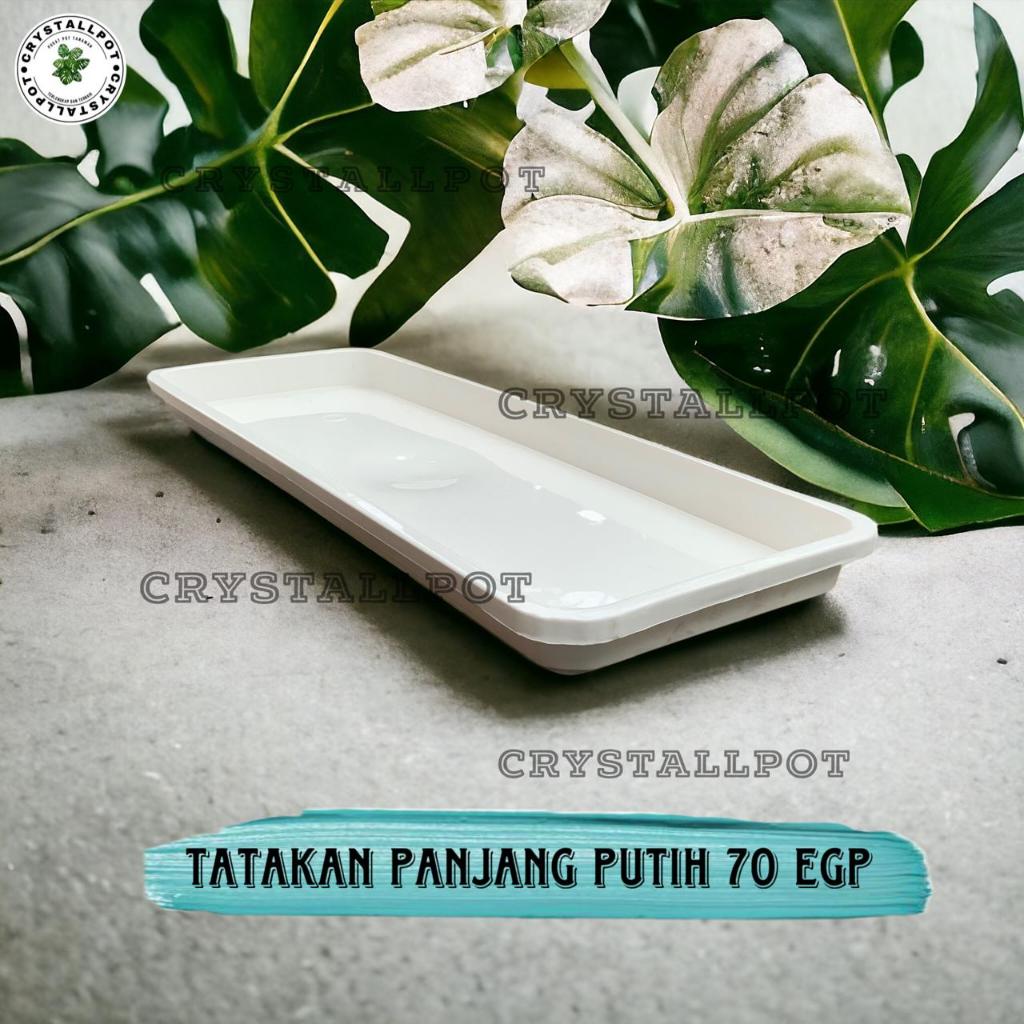 Jual Tatakan Alas Pot Panjang Elang 70 Putih - TRAY PANJANG EGP 70 ...