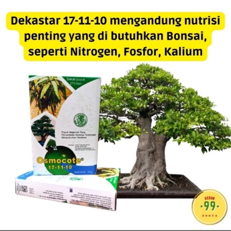 Jual pupuk DEKASTAR 17-11-10 repack 60gr. | Shopee Indonesia