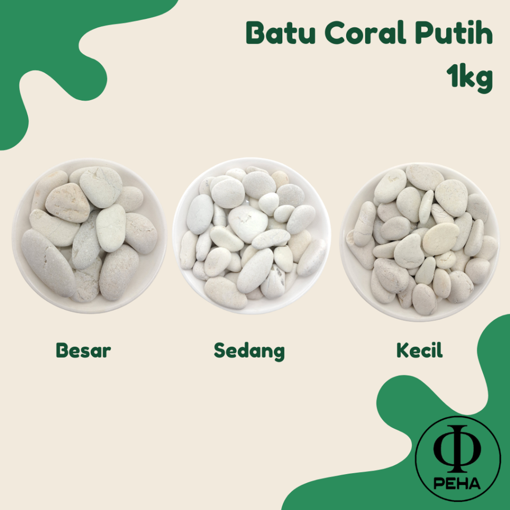 Jual Batu Coral Putih Batu Kupang Batu Koral Putih - Hiasan Aquarium ...
