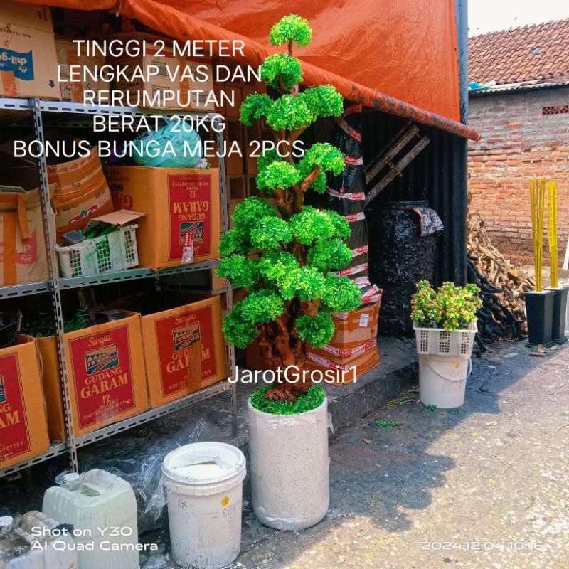 Jual BONSAI BOLA BESAR MEWAH ARTIFICIAL LENGKAP POT TRASO DAN ...