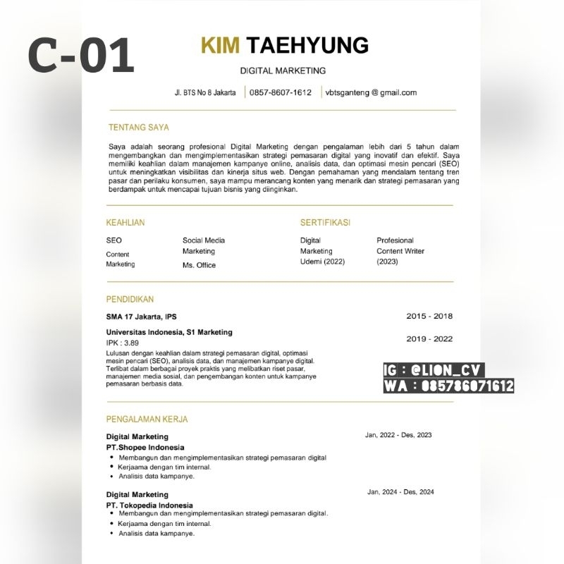 Jual Jual Template CV Ats Word kode C01 - C09 | Shopee Indonesia