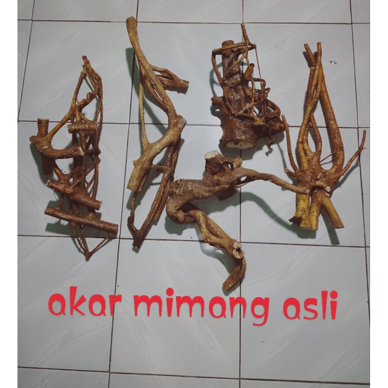 Jual kayu akar mimang asli alami alam ( ber variasi) ukuran dan bentuk ...