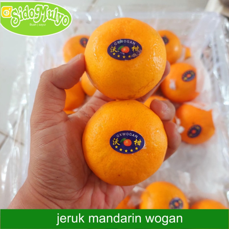 Jual Jeruk Mandarin WOGAN fresh manis ( 1 kg ) | ud sidomulyo fresh ...