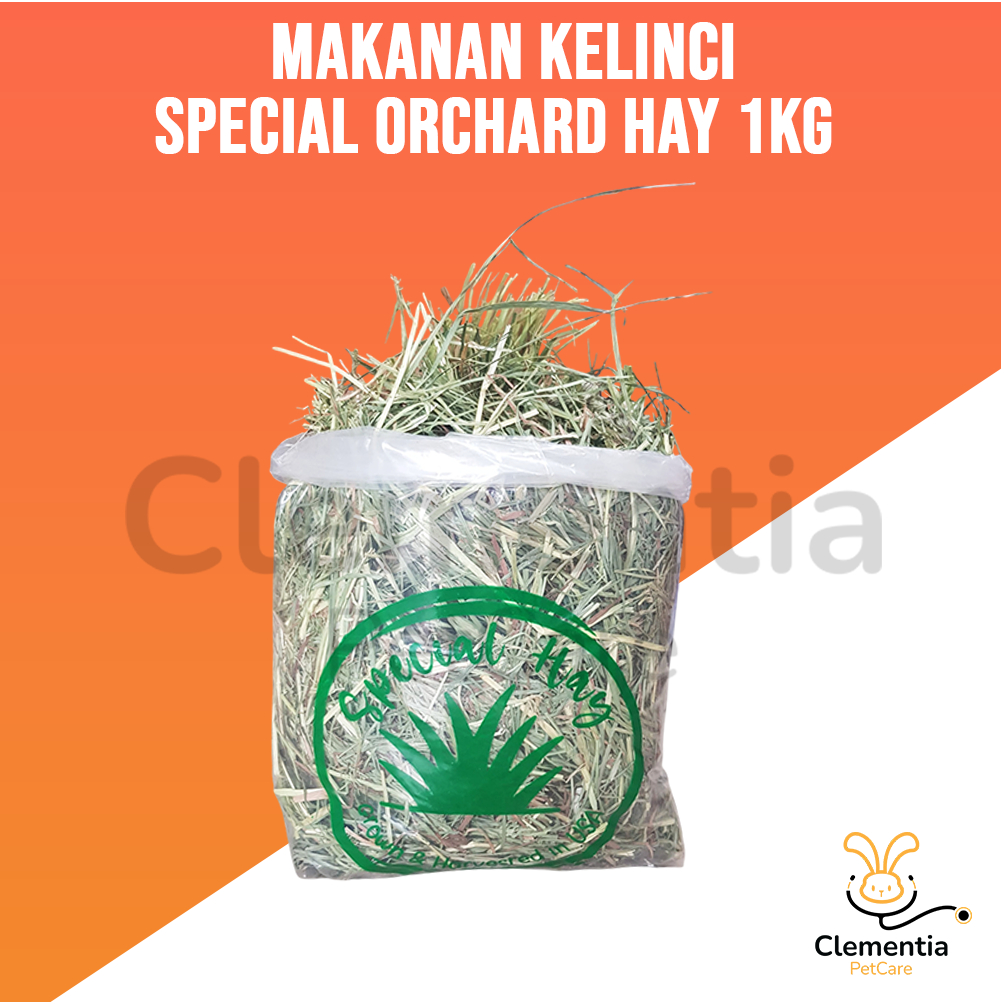 Jual Special Hay Orchard 1 kg | Rumput Hay Makanan kelinci marmut ...