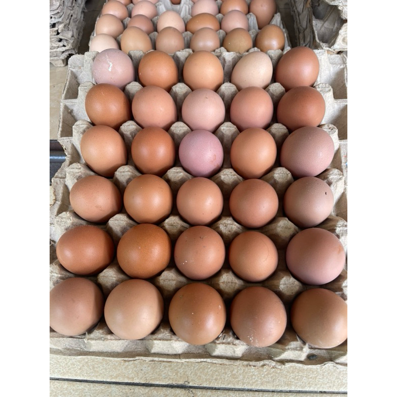 Jual TELUR DENGAN BERBAGAI UKURAN | Shopee Indonesia