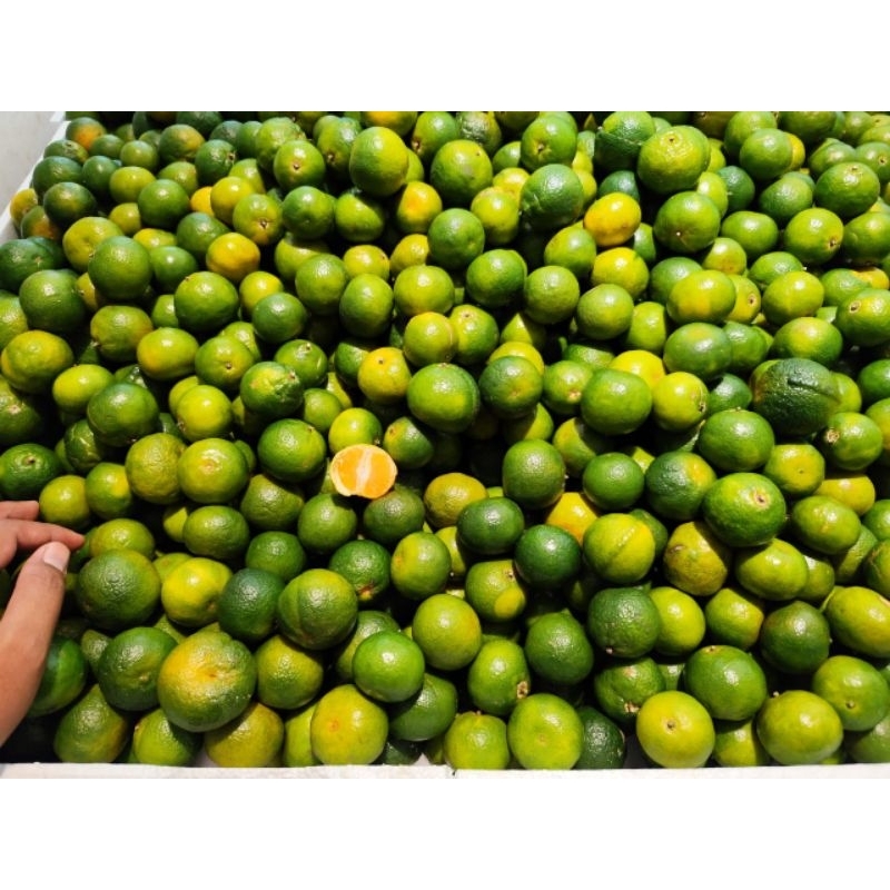 Jual Buah jeruk shantang madu hijau di jamin manis 1 kg | Shopee Indonesia