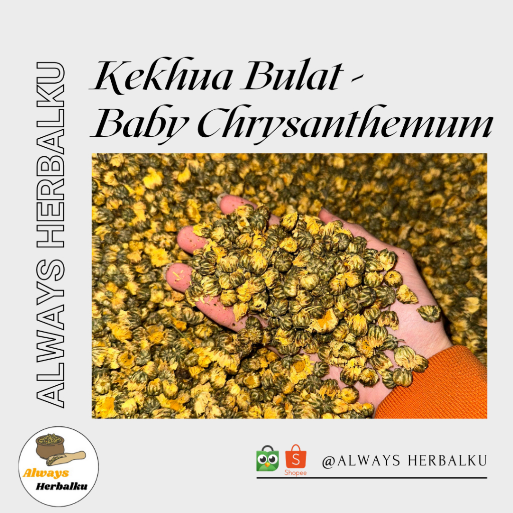 Jual Kek hua bulat/ chrysanthemum tea buds / kek hwa / Teh bunga krisan ...