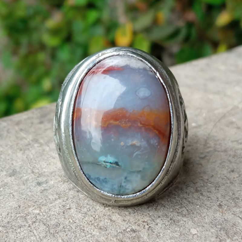 Jual Pancawarna Garut Darson Lawas | Shopee Indonesia