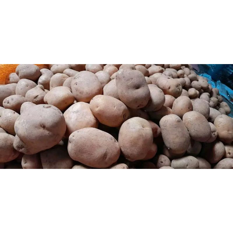 Jual kentang Dieng sedang kualitas bagus 1 kg | Shopee Indonesia