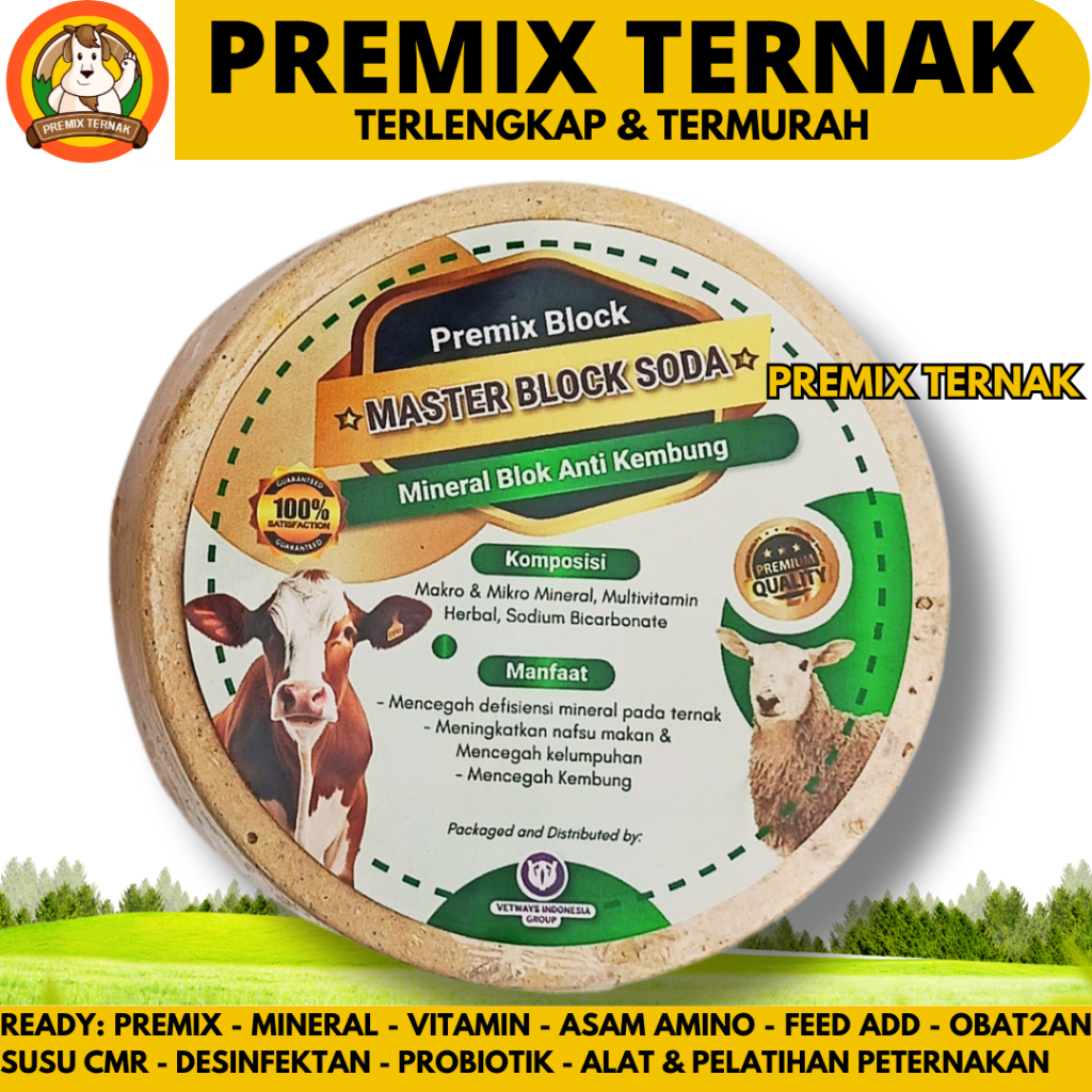 Jual MASTER BLOK SODA 500 GRAM - Mineral Blok Anti Kembung untuk Anak ...