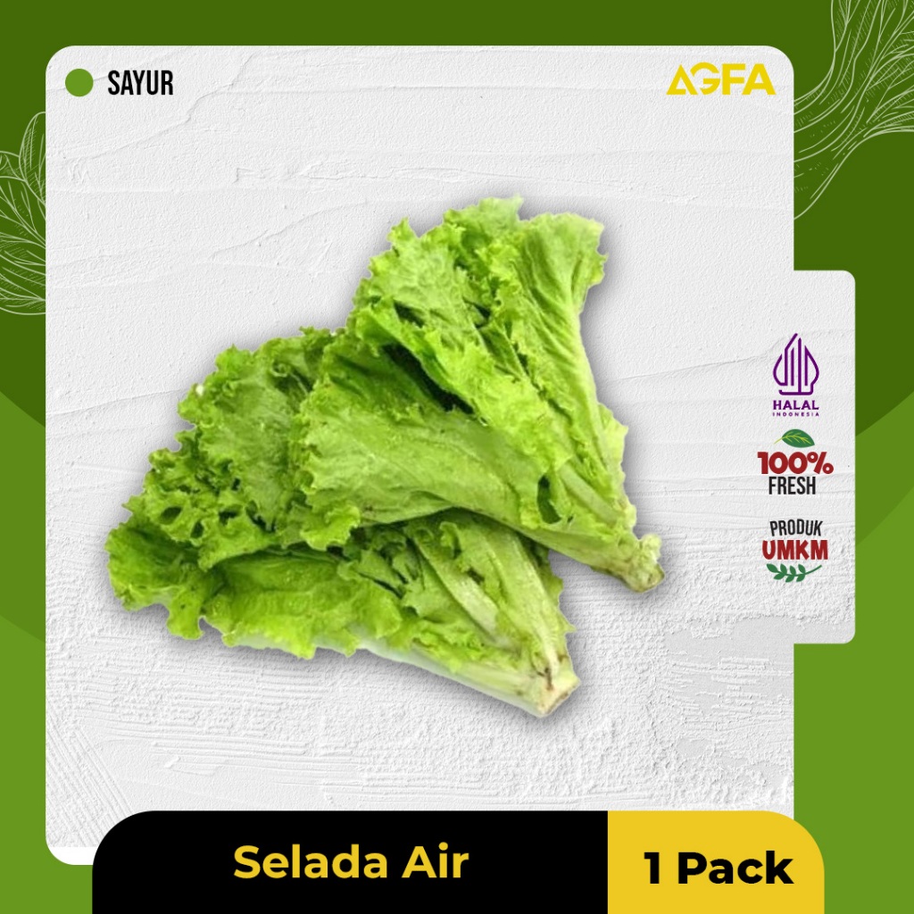 Jual Selada 100 gram / Selada Hijau Fresh / Selada Air / Jual Sayur ...