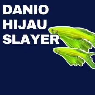 Jual hiasan aquarium danio slayer glowfish | Shopee Indonesia