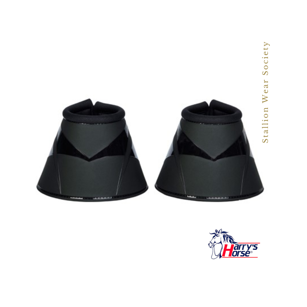 Jual Bell boots Harry horse pelindung kaki kuda olahraga berkuda horse ...
