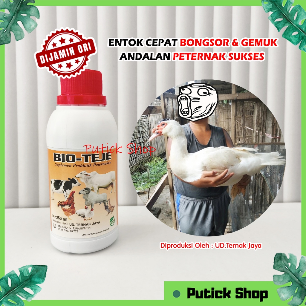 Jual Entok Jumbo Terlengkap & Harga Terbaru Mei 2026 | Shopee Indonesia