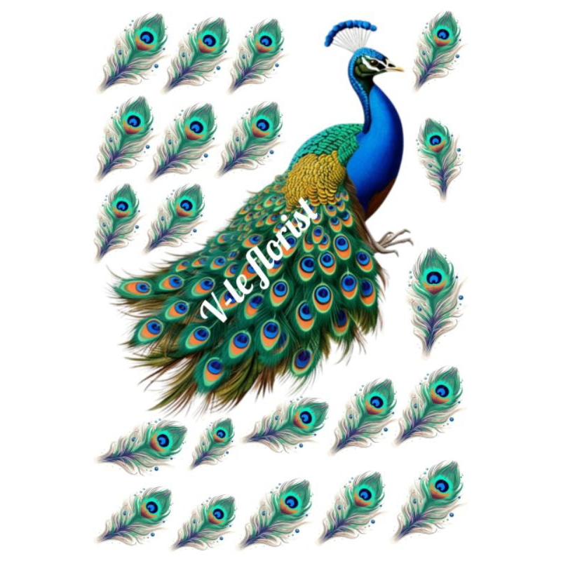 Jual TOPPER BURUNG MERAK SESERAHAN//HIASAN BUKET UANG// BURUNG MERAK ...