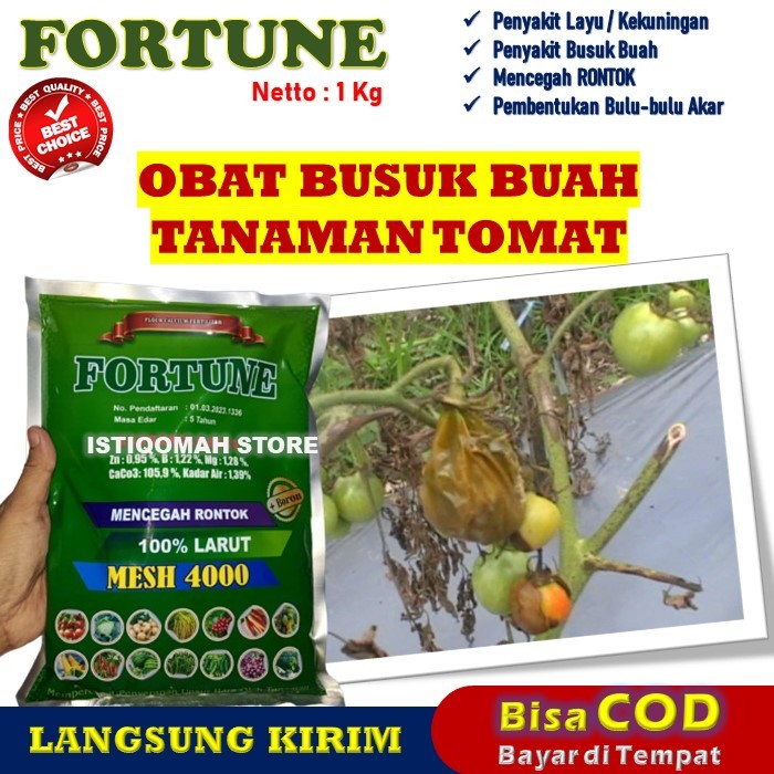Jual Pupuk Kalsium FORTUNE 1 KG Obat Busuk Buah Tanaman Tomat Mesh 4000 ...