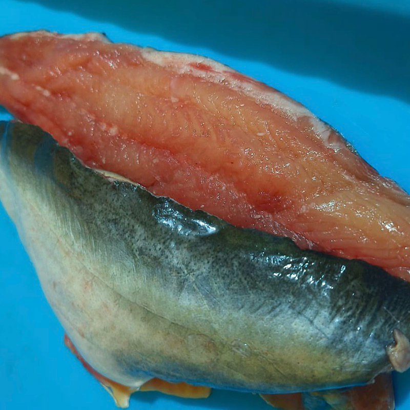 Jual Ikan Patin Fillet | Golden Patin Fillet 300gr | Shopee Indonesia