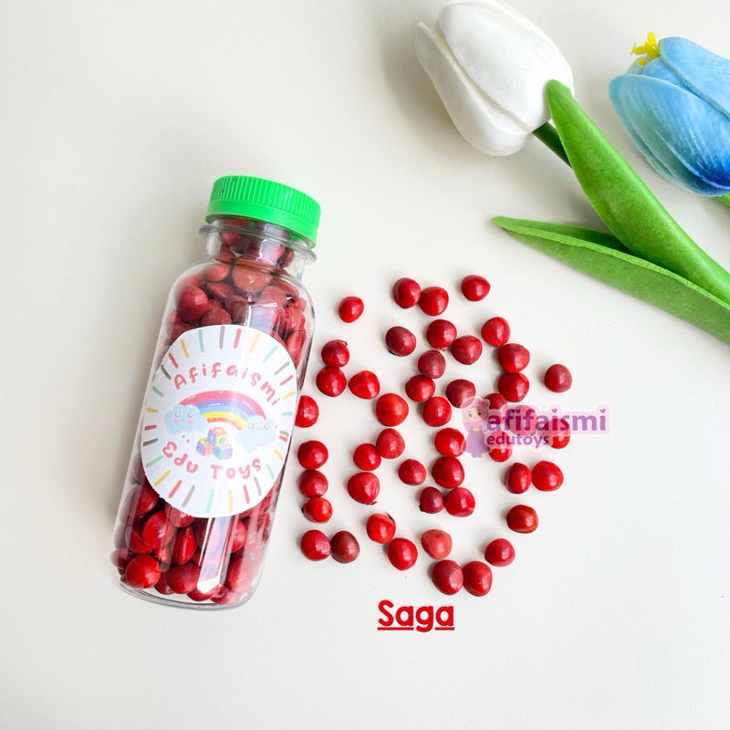Jual Kerajinan Kolase Biji-bijian Saga Merah untuk Prakarya tugas by ...