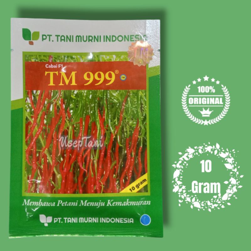 Jual BENIH CABE F1 TM 999 10 GRAM TANI MURNI | Shopee Indonesia