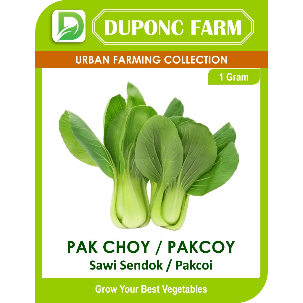 Jual Benih Bibit SAWI PAKCOY Pak Choy DUPONC FARM Seed Sawi Sendok ...