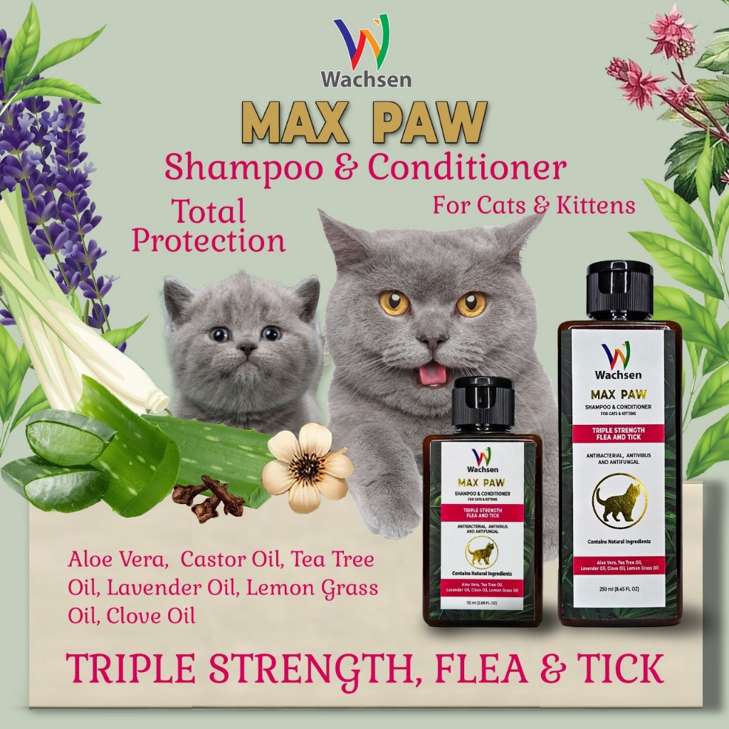 Jual Max Paw Shampo Kucing Triple Strength Flea And Tick Anti Kutu, Parasit, Bakteri, Virus Dan ...