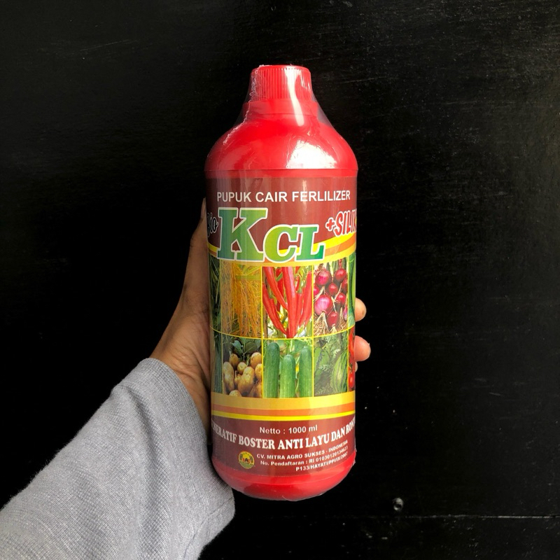 Jual KCL Plus Silika Pupuk Semprot Kocor Ukuran 1 Liter | Shopee Indonesia